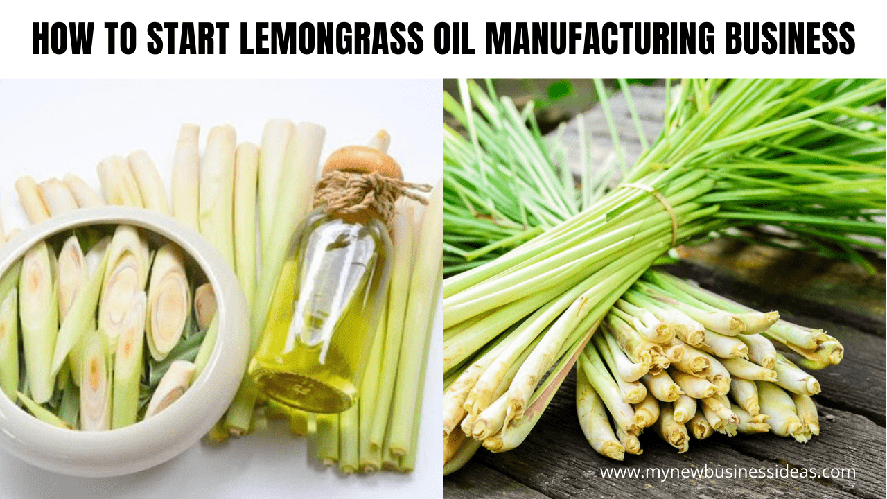 How To Start Lemongrass Oil Manufacturing Business » MYNEWBUSINESSIDEAS