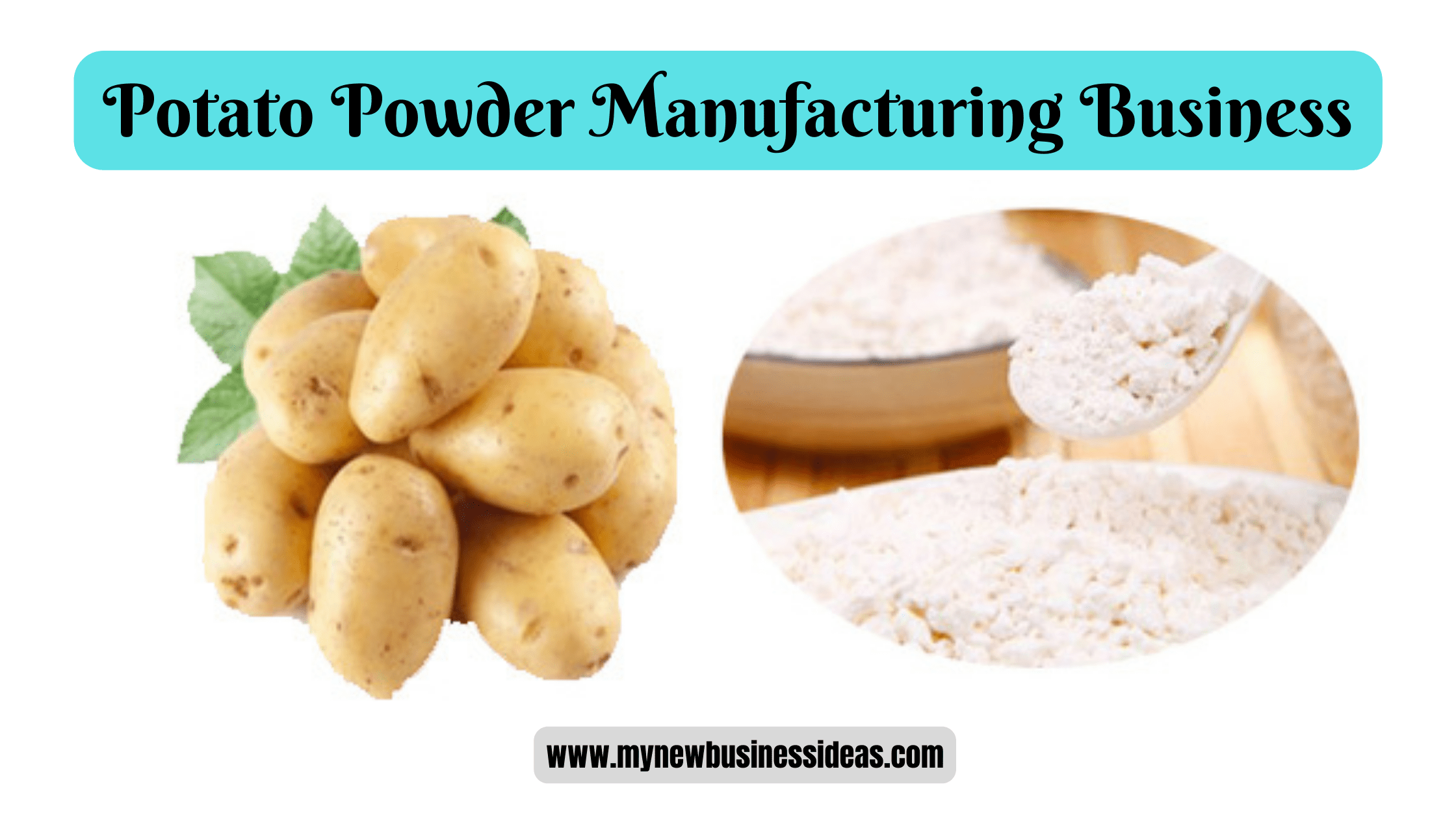 How to Start Potato Powder Manufacturing Business