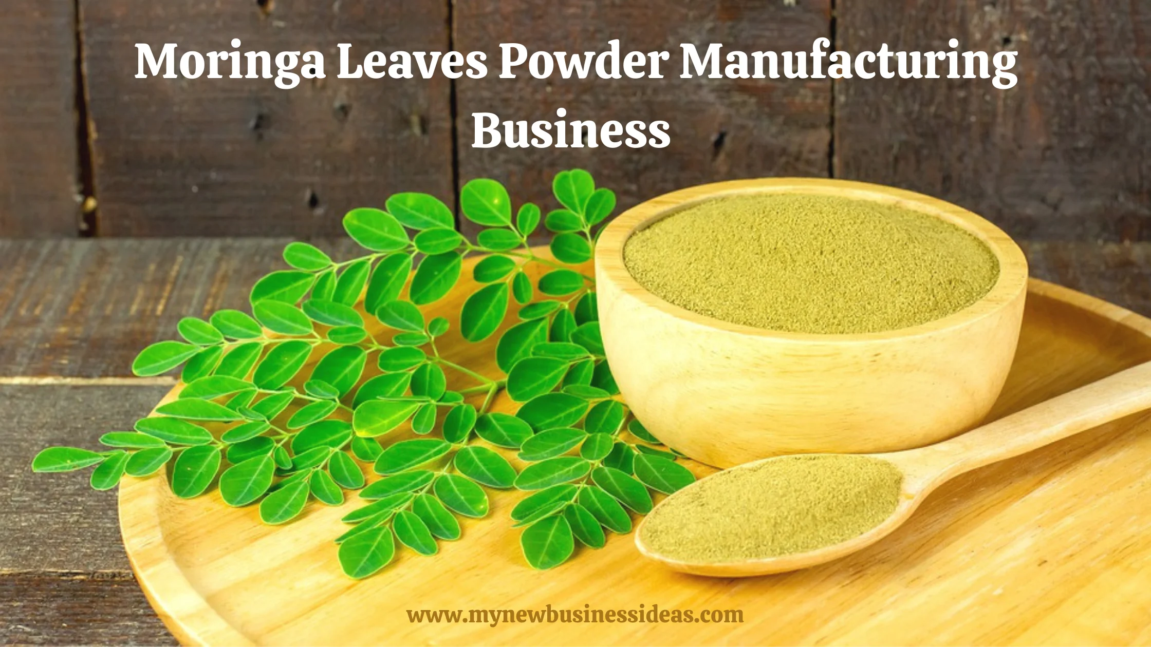 How to Start Moringa Powder Manufacturing Business