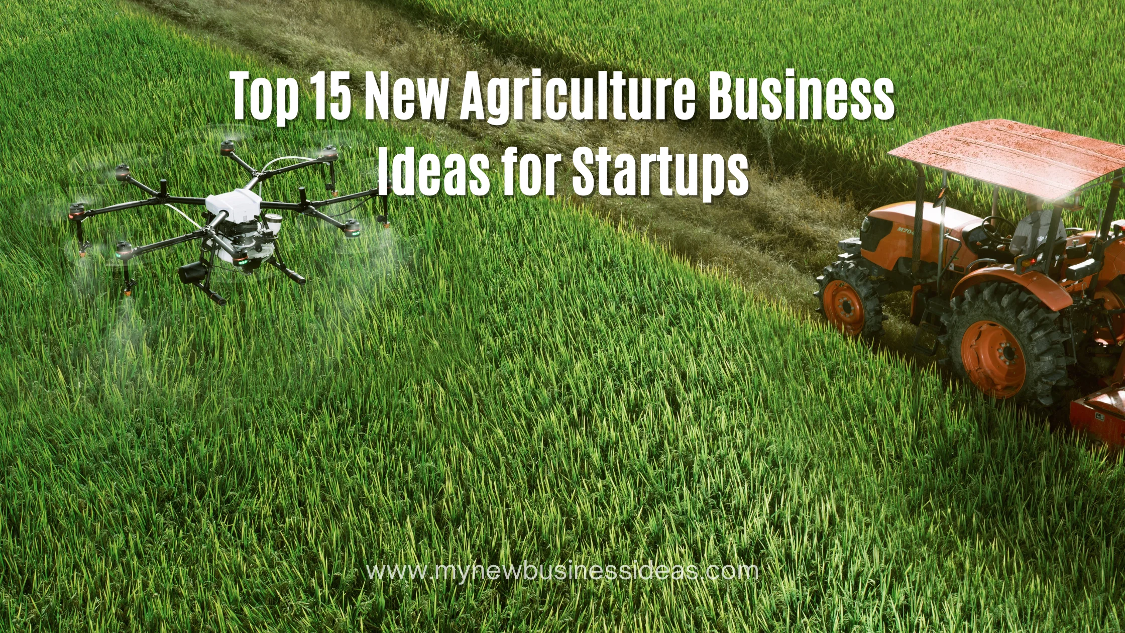 Top 15 New Agriculture Business Ideas for Startups