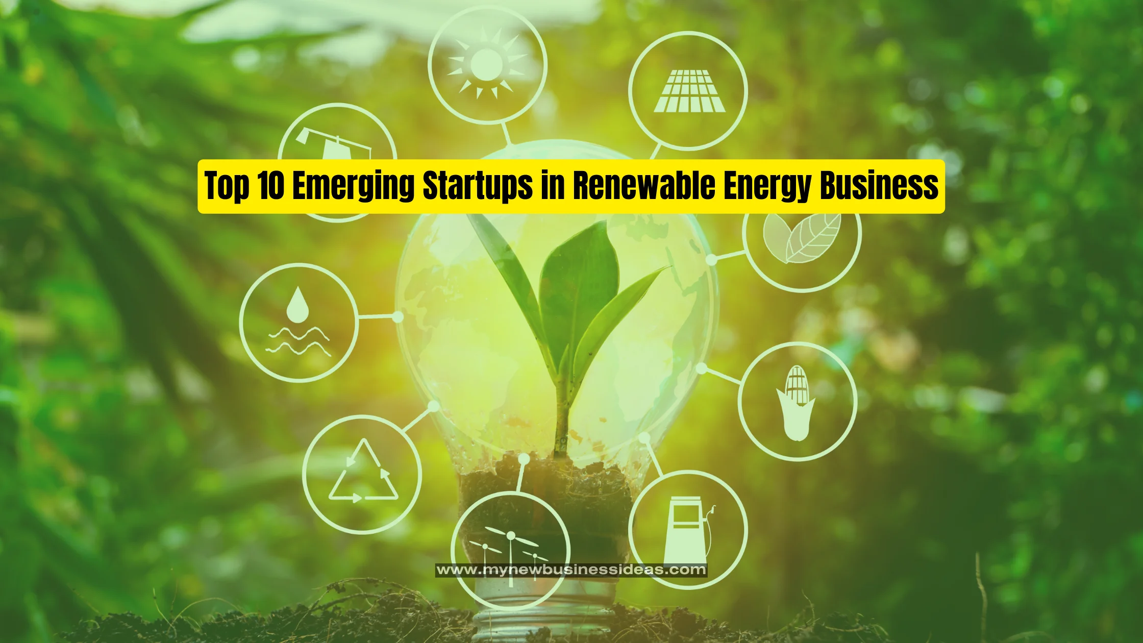 Top 10 Emerging Startups in Renewable Energy Business